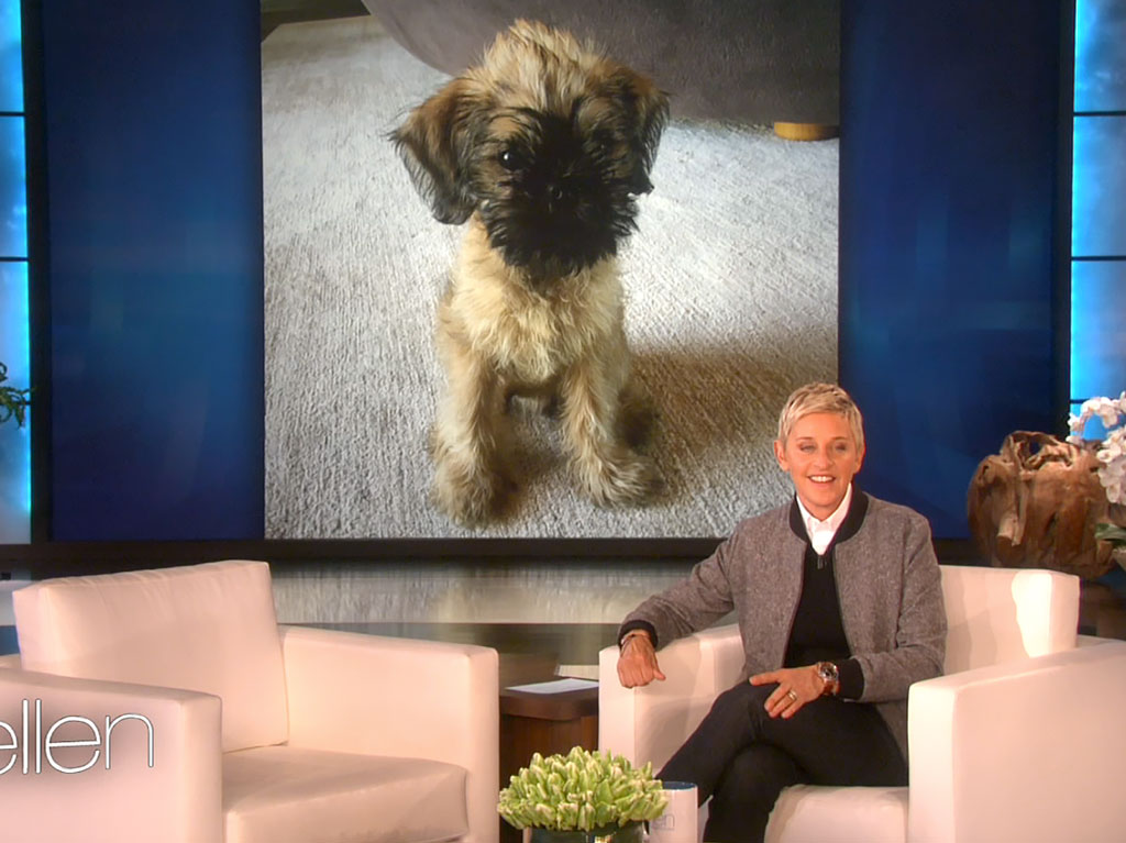 Η Έλεν ντε Τζενέρις απέκτησε... Παιδί!